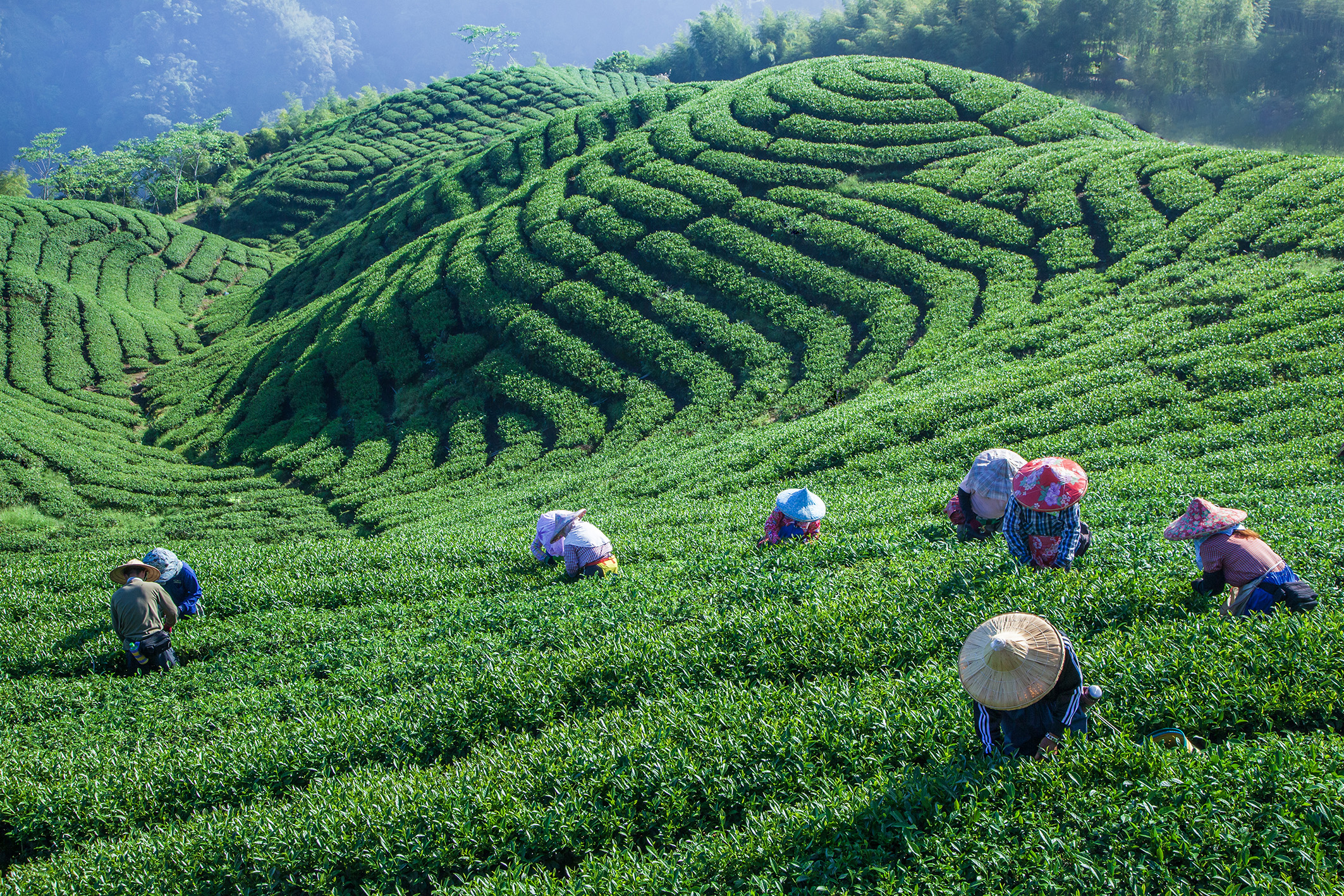 New York Photography Awards | Travel / Tourism Early morning tea pi
